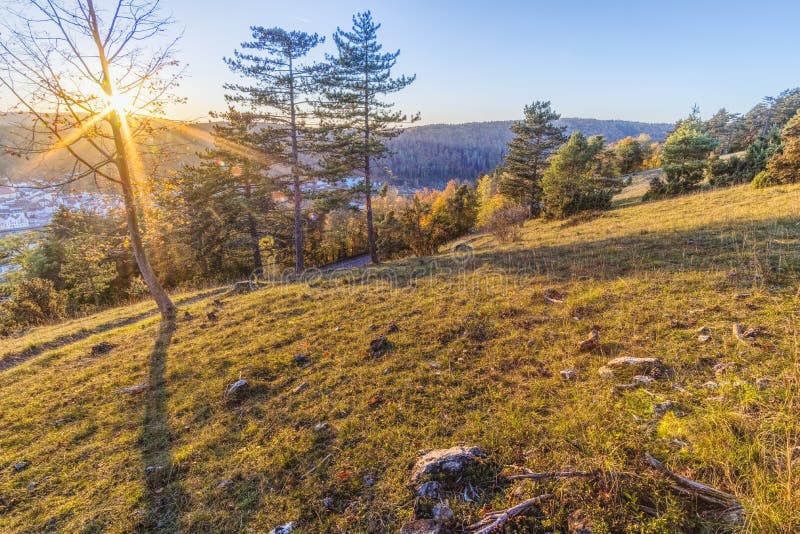 Wilderness, Ecosystem, Nature Reserve, Vegetation Picture. Image: 111643673