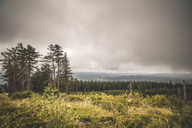 Wilderness Landscape in Cloudy Weather Overcast Stock Photo - Image of ...