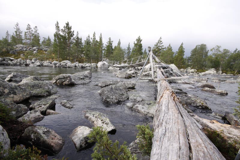 In the Wilderness of Norway Stock Image - Image of green, nationalpark ...