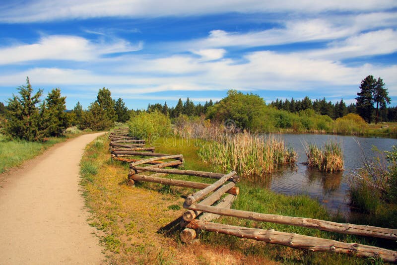 Wilderness Path stock image. Image of wilderness, water - 14870373