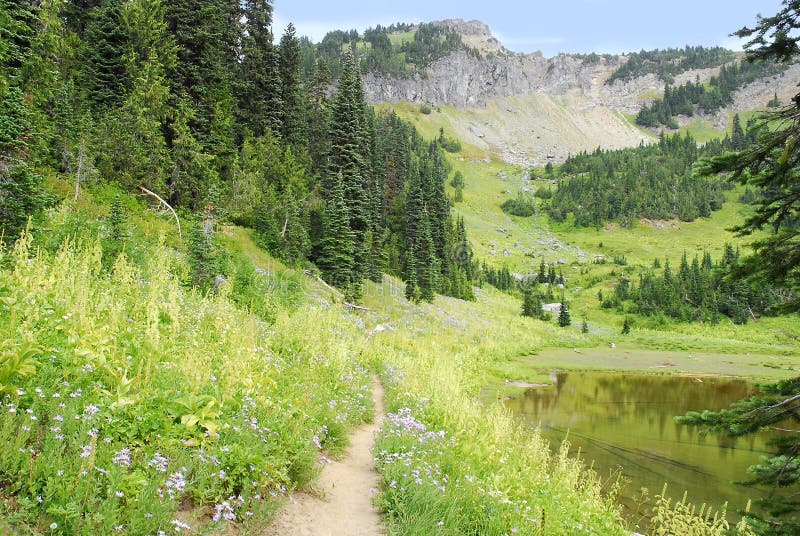 Wilderness PAthway stock photo. Image of adventure, landscape - 27328242