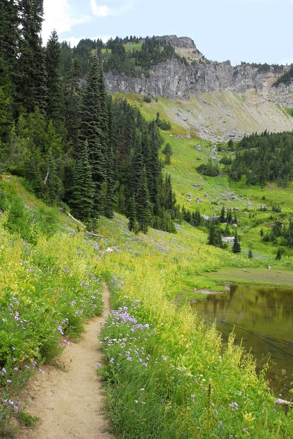 Hiking Trail in Colorado Rocky Mountains Stock Photo - Image of ...