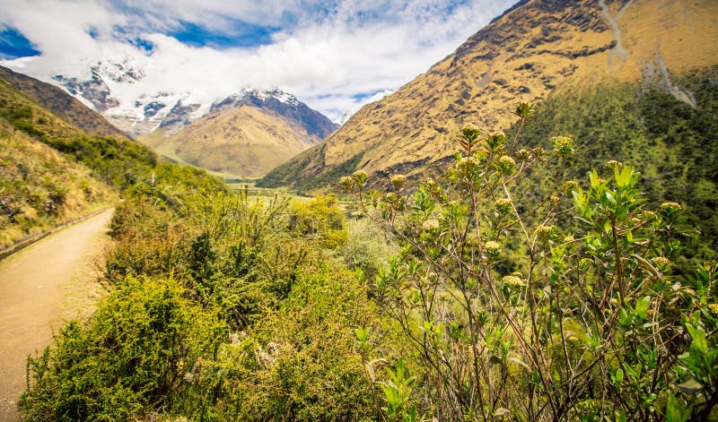 Wilderness in peru stock image. Image of south, salkantay - 103416621