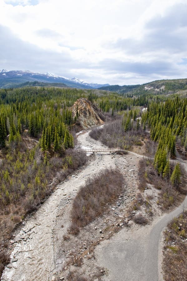 Wilderness riverbed stock image. Image of washout, forestland - 11094101