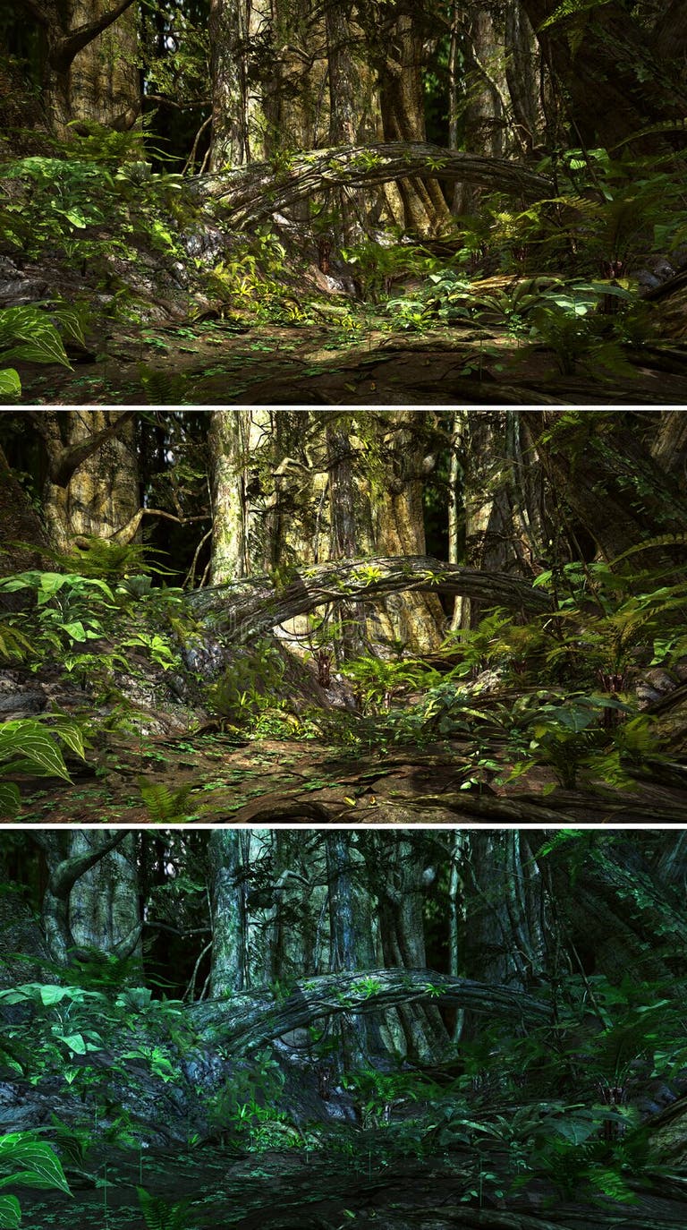 Jungle Lighting Stock Illustrations – 22,559 Jungle Lighting Stock ...