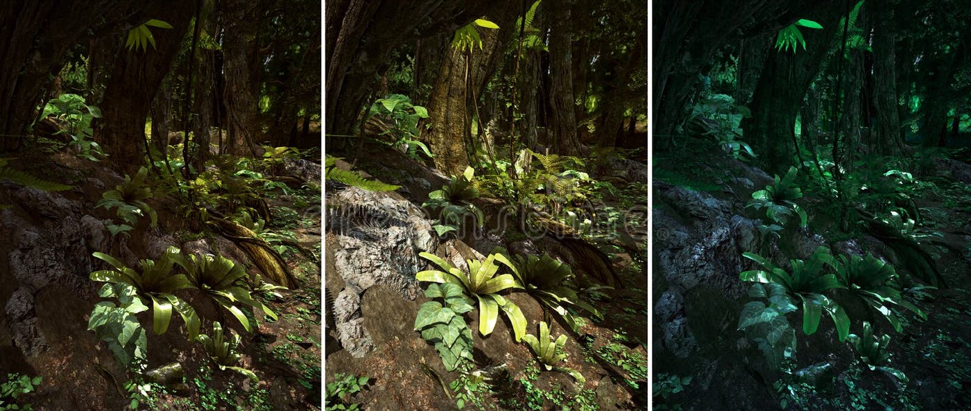 Jungle Lighting Stock Illustrations – 22,559 Jungle Lighting Stock ...