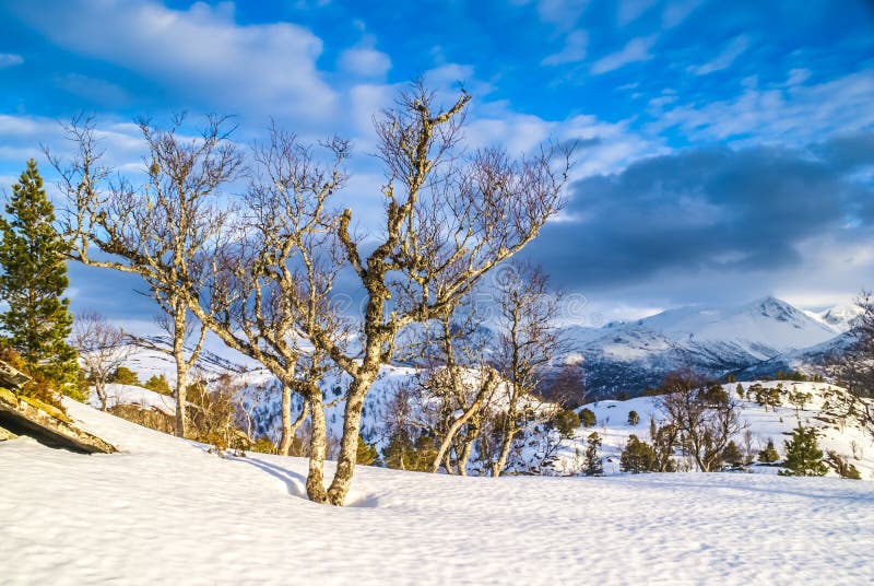 Wilderness in Volda stock photo. Image of beautiful, snow - 82354446