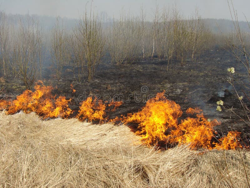 Wildfire stock photo. Image of destroy, blaze, emergency - 11213210