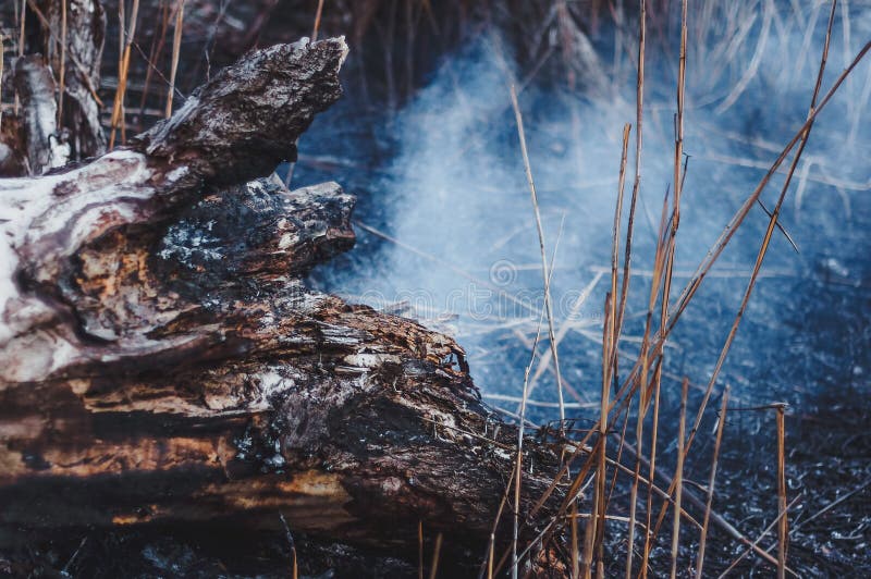 Wildfire imagen de archivo. Imagen de humo, quemadura - 83382039