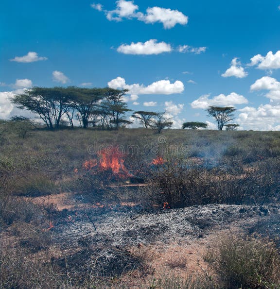 Wildfire in African Savanna Stock Image - Image of africa, peat: 37148085