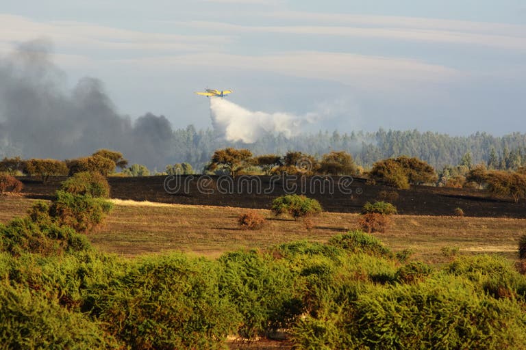 231 Avion Water Stock Photos - Free & Royalty-Free Stock Photos from ...