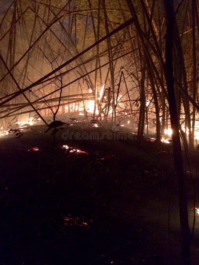 Wildfire stock photo. Image of global, backgrounds, fireplace - 52260078