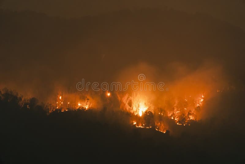 Wildfire Burning Forest Trees in the Mountain.Forest Fire at Night ...