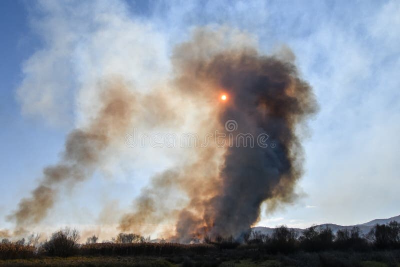 Thick Black Smoke Rises High and the Sun is Seen Behind the Smoke ...