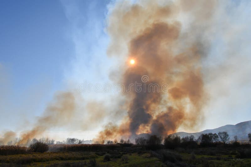 Thick Black Smoke Rises High and the Sun is Seen Behind the Smoke ...