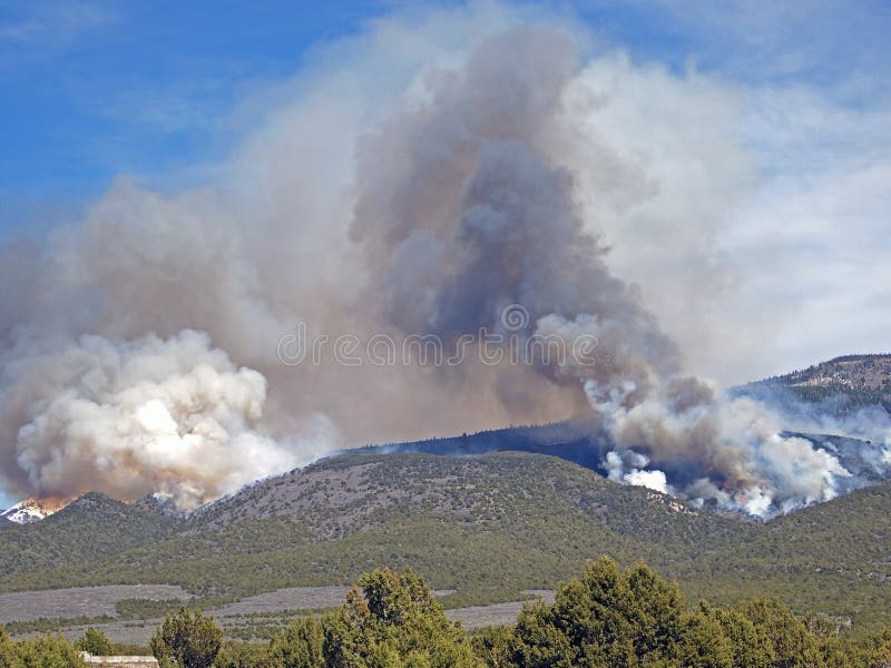 Wildfire stock photo. Image of trees, hill, burning, forest - 40166314