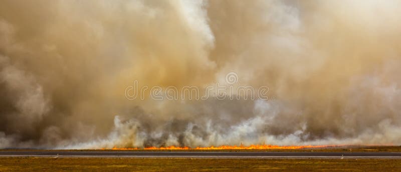 Wildfire stock image. Image of drought, natural, outdoors - 32301189