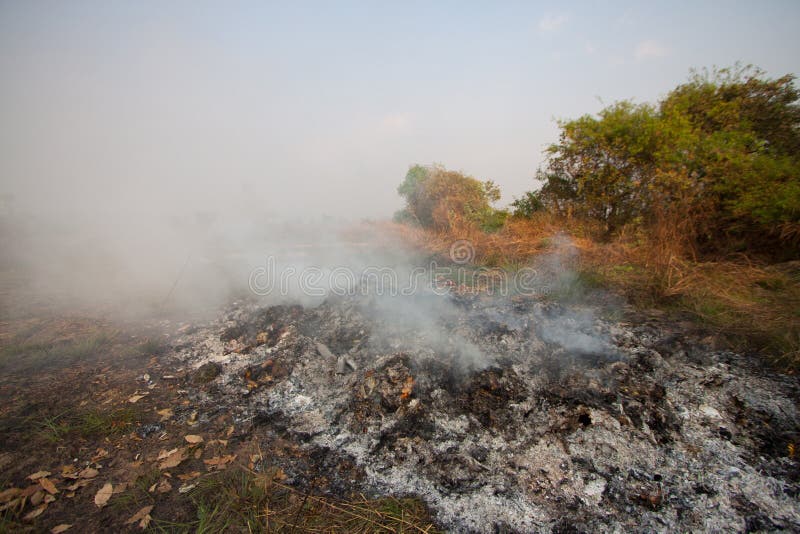 Wildfire or Forest Fire in the Nature, Fire Fighters Will Be Fighting ...