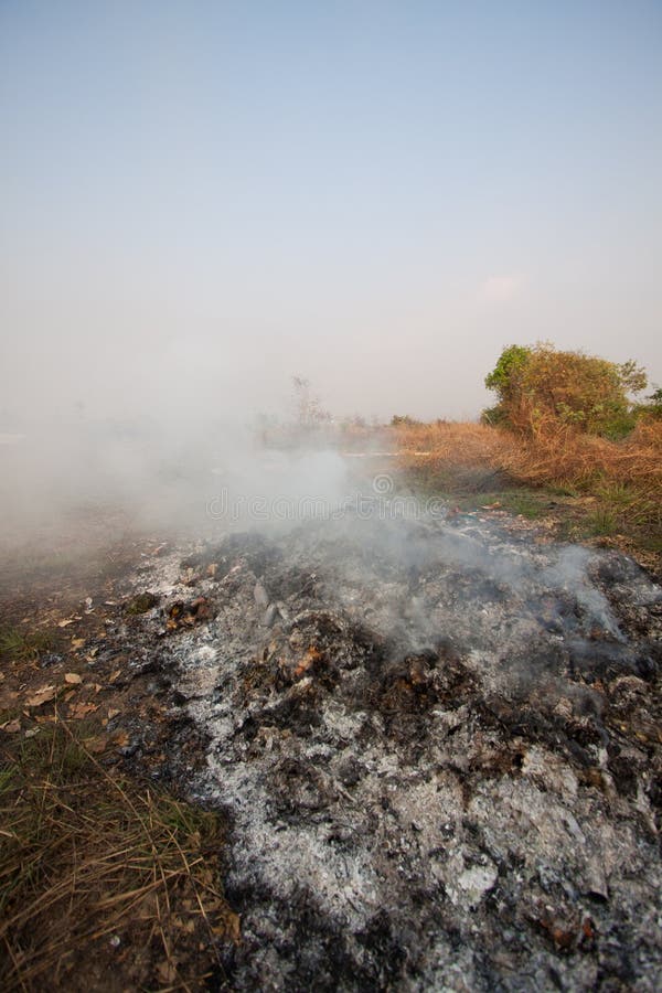 Wildfire or Forest Fire in the Nature, Fire Fighters Will Be Fighting ...