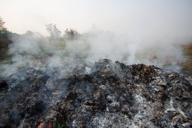 Wildfire or Forest Fire in the Nature, Fire Fighters Will Be Fighting ...