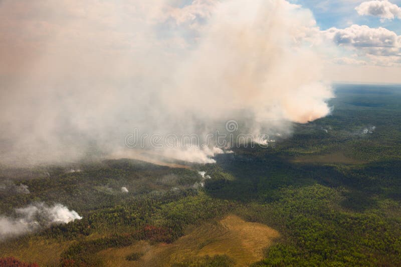 Wildfire in Forest, Top View Stock Image - Image of landscape, nature ...