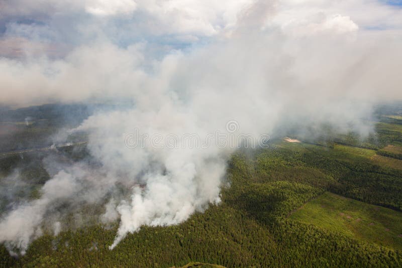 Wildfire in Forest, Top View Stock Photo - Image of environment, safety ...