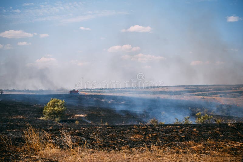 Wildfire or Natural Fire in Fields with Trees Ands Grass, Dark Smoke ...
