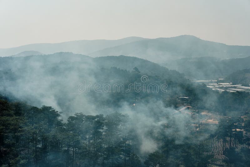Wildfire, Smoke Filled Sky Above Forest. Concept: Warming, Climate ...