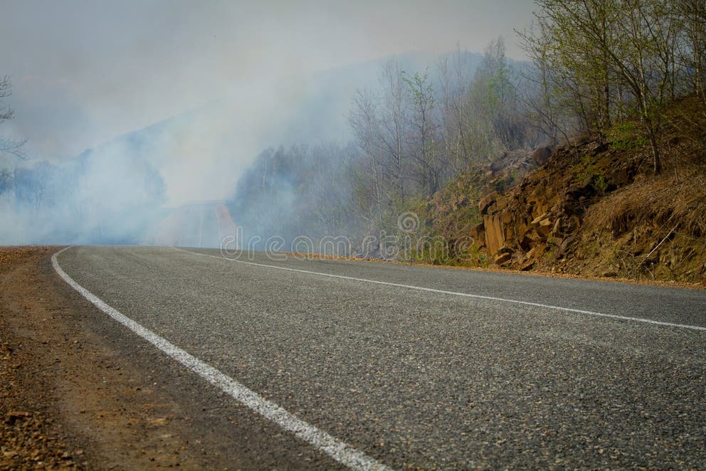 Wildfire stock photo. Image of green, fire, problems - 32217018