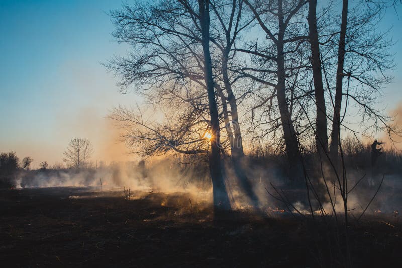 Wildfire and smoke stock image. Image of disaster, bole - 167655545