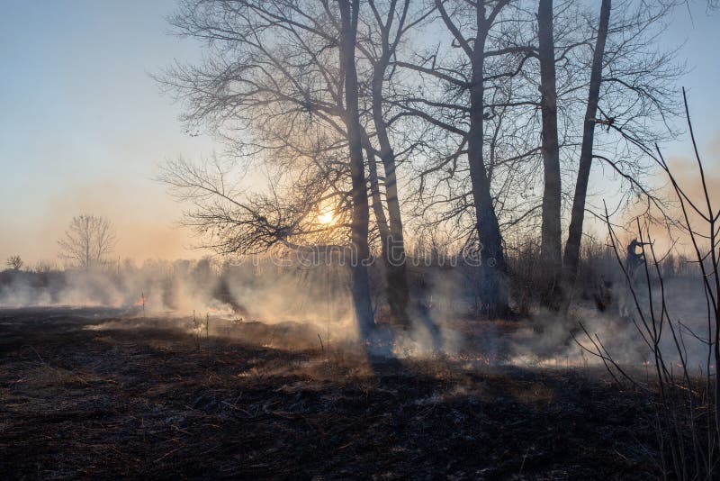 Wildfire and smoke stock photo. Image of greenland, spring - 207804810