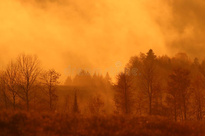 Orange wildfire atmosphere stock photo. Image of dawn - 261163580