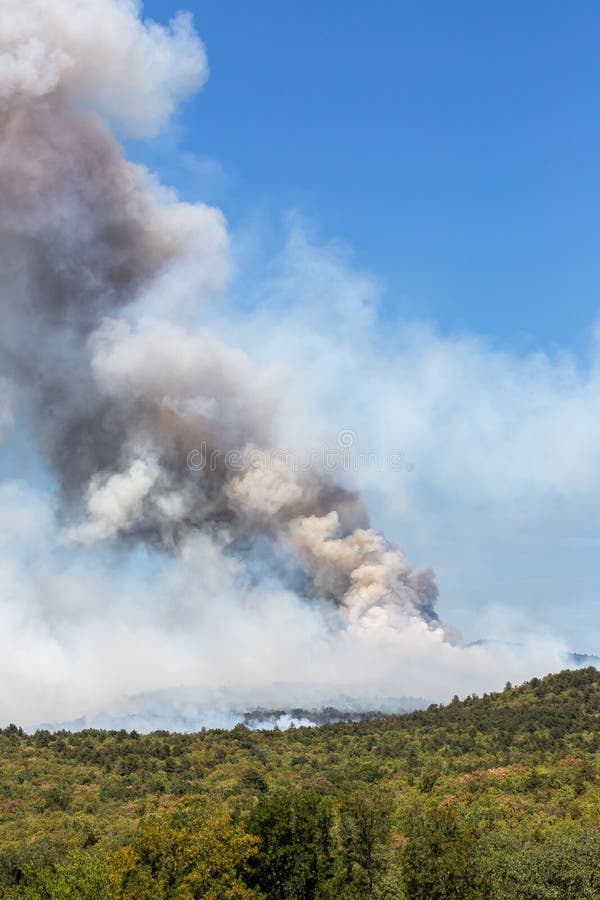 Wildfire with Strong Wind and Drought Stock Photo - Image of nature ...
