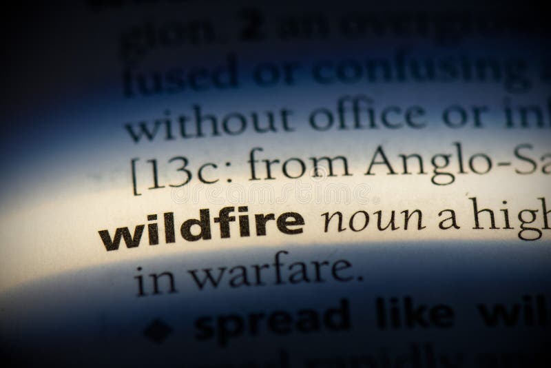 Wildfire stock photo. Image of paper, text, info, focus - 161577066