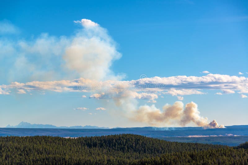 Wildfire in Yellowstone National Park Stock Image - Image of absaroka ...