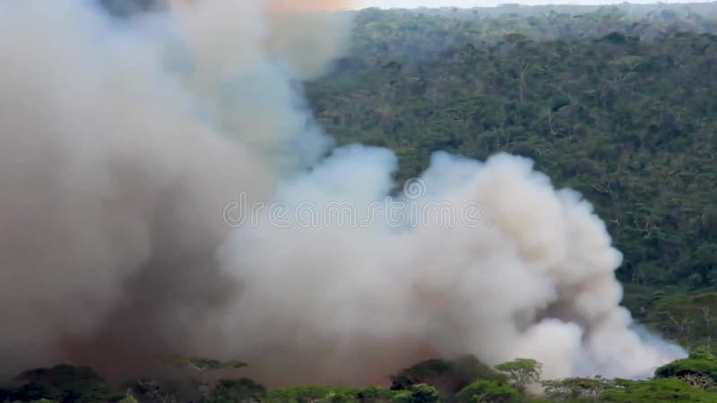 Wildfires in the Amazon Rainforest: a Growing Crisis Stock Video ...