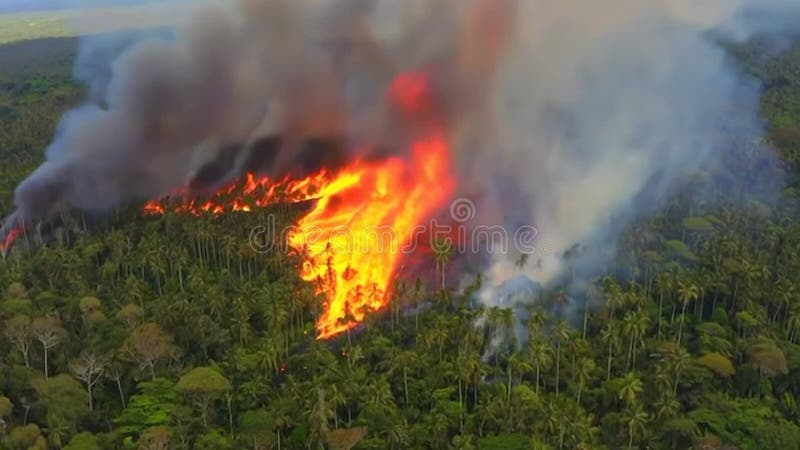 Wildfires in the Amazon Rainforest: a Growing Crisis Stock Footage ...