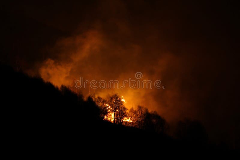 Wildfires at night stock image. Image of fire, smoke - 81757237