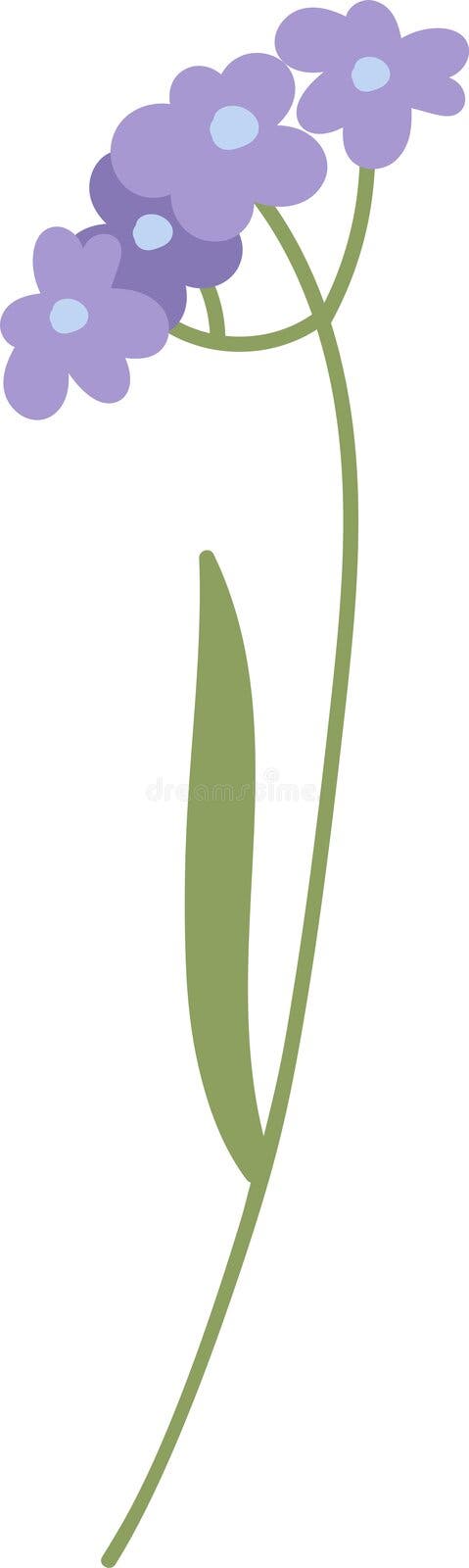 Wildflower Branch Hand Drawn Stock Vector - Illustration of flower ...