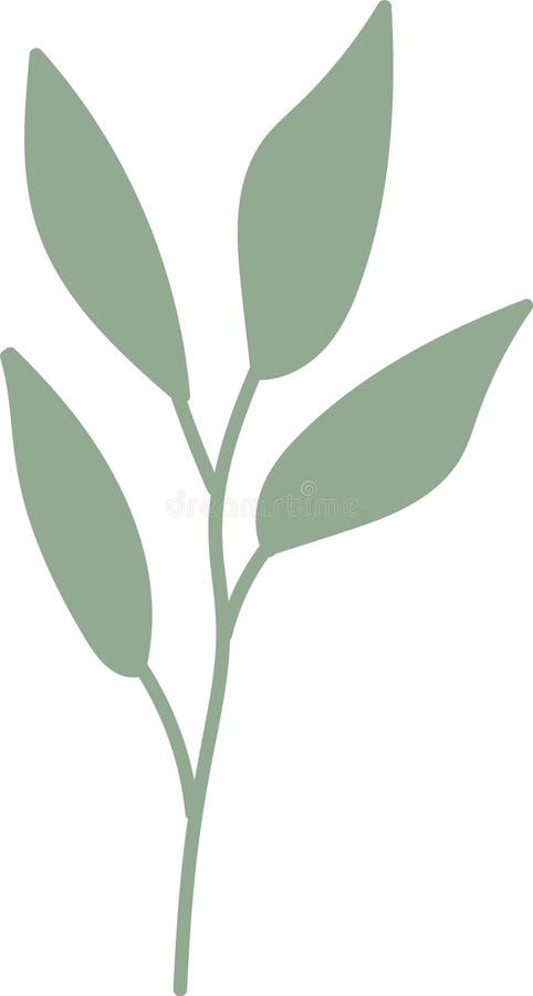 Wildflower Branch with Leaves Stock Vector - Illustration of white ...