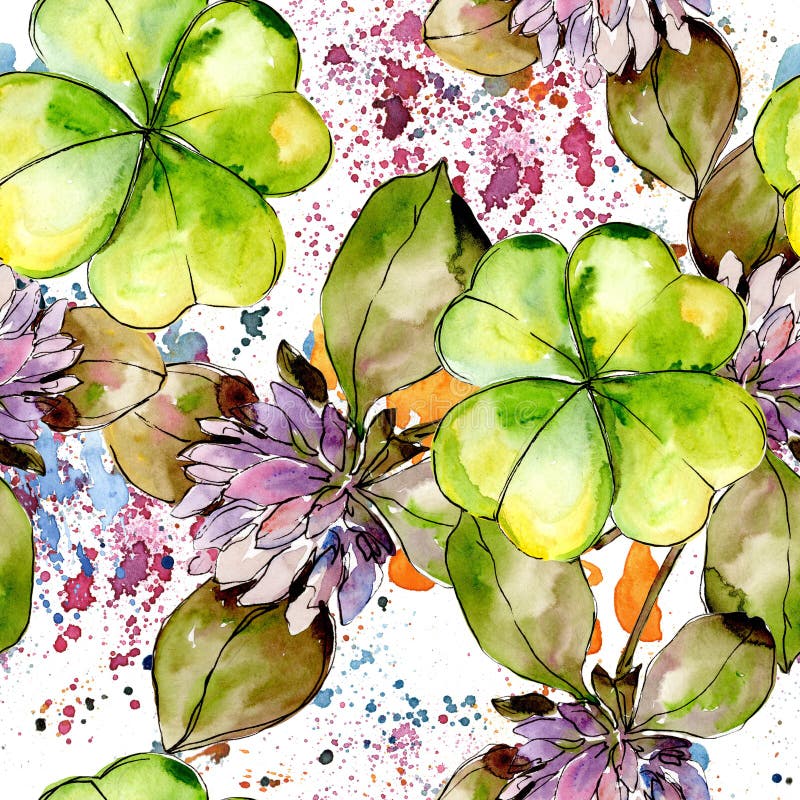 Wildflower Clover. Floral Botanical Flower. Wild Spring Leaf Wildflower ...