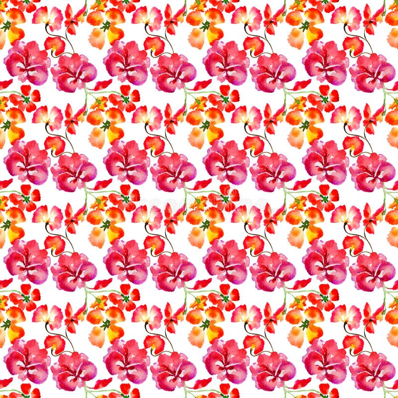Wildflower Flower Pattern in a Watercolor Style Isolated. Stock ...