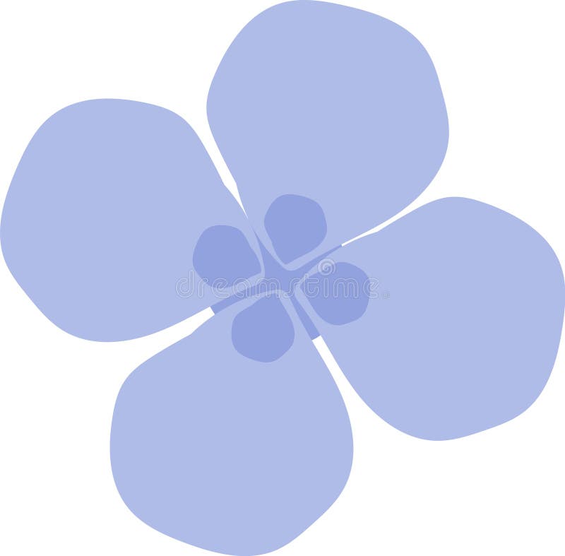 Wildflower Head Hand Drawn stock vector. Illustration of blooming ...