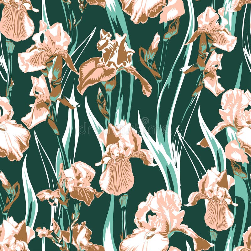 Wildflower Iris Flower Pattern. Full Name of the Plant Irises Stock ...
