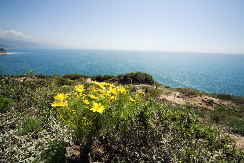 5,798 Cliff Foreground Landscape Background Stock Photos - Free ...