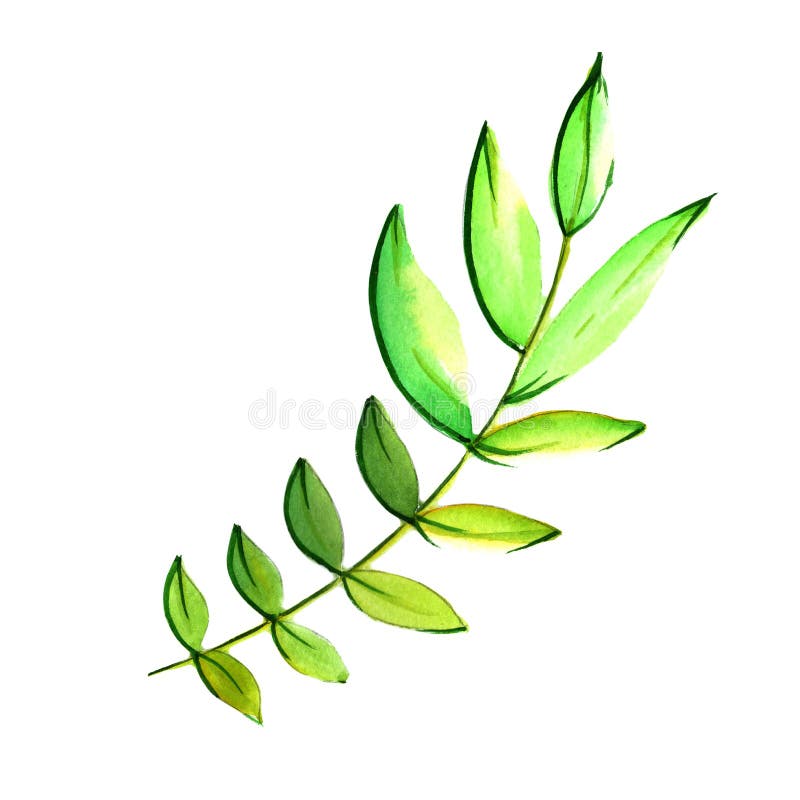 Hand Drawn Doodle Leaf Foliage Border Dividers Stock Vector ... Hand Drawn Doodle Leaf Foliage Border Dividers Stock Vector ...