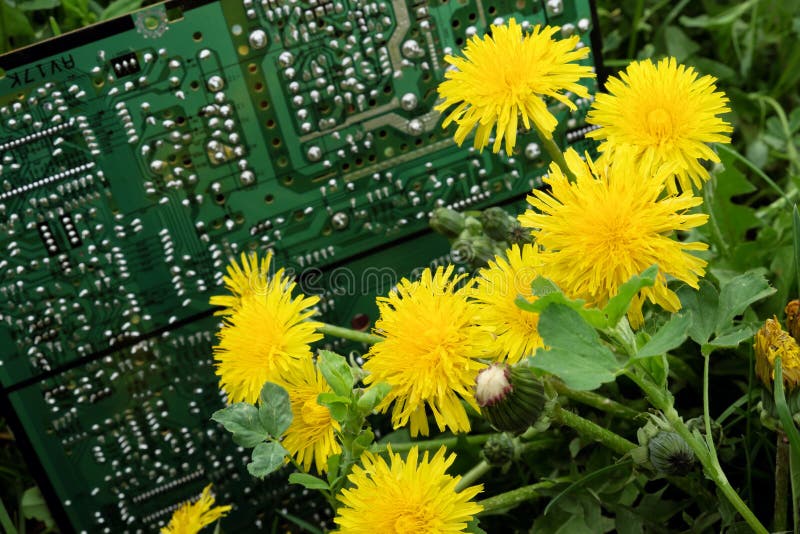 Flower Bloom Circuit Board Stock Photos - Free & Royalty-Free Stock ...