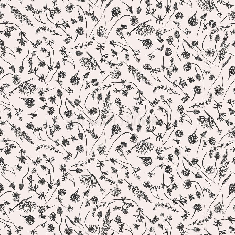 Yarrow Vector Pattern Stock Illustrations – 667 Yarrow Vector Pattern ...