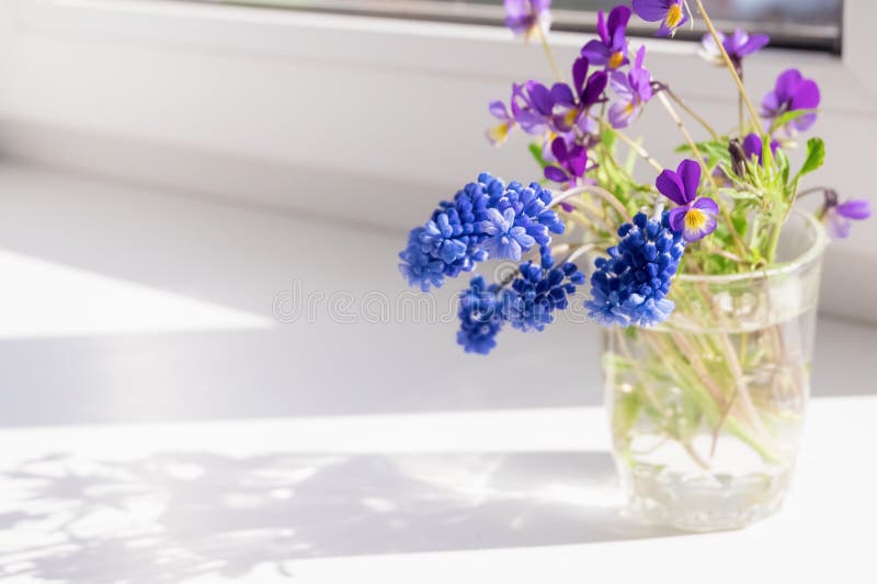 Wildflowers on the Windowsill. Shade from the Flowers on the Windows ...