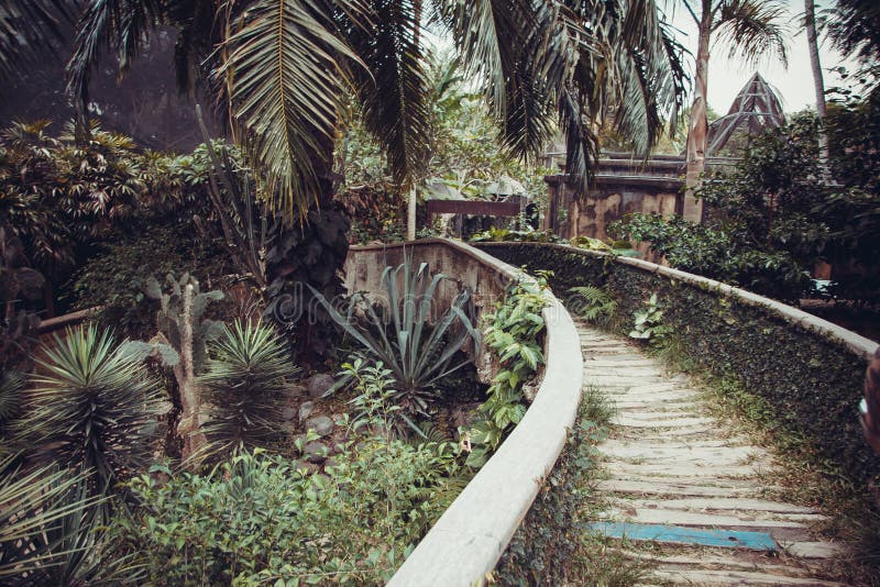 Wildlife in Bali Birds and Reptiles Park Stock Photo - Image of iguana ...